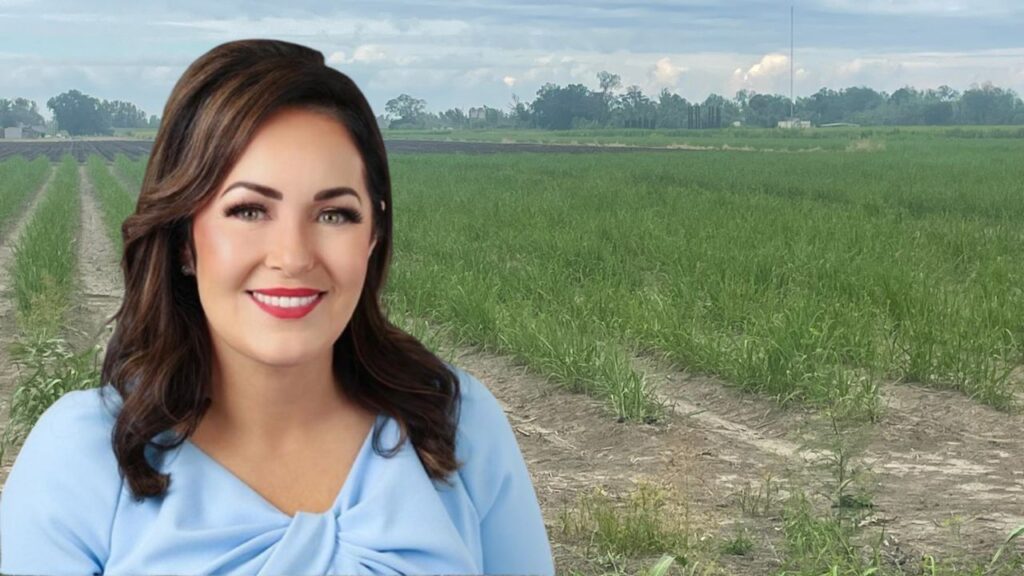 St. John President Jaclyn Hotard accused of perjury in lawsuit linked ...