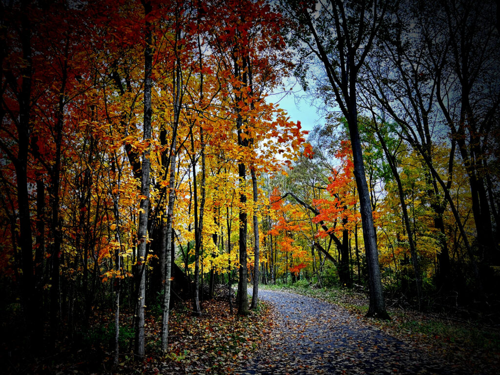 Susan J. Demas: The season of silence and letting go | News From The States