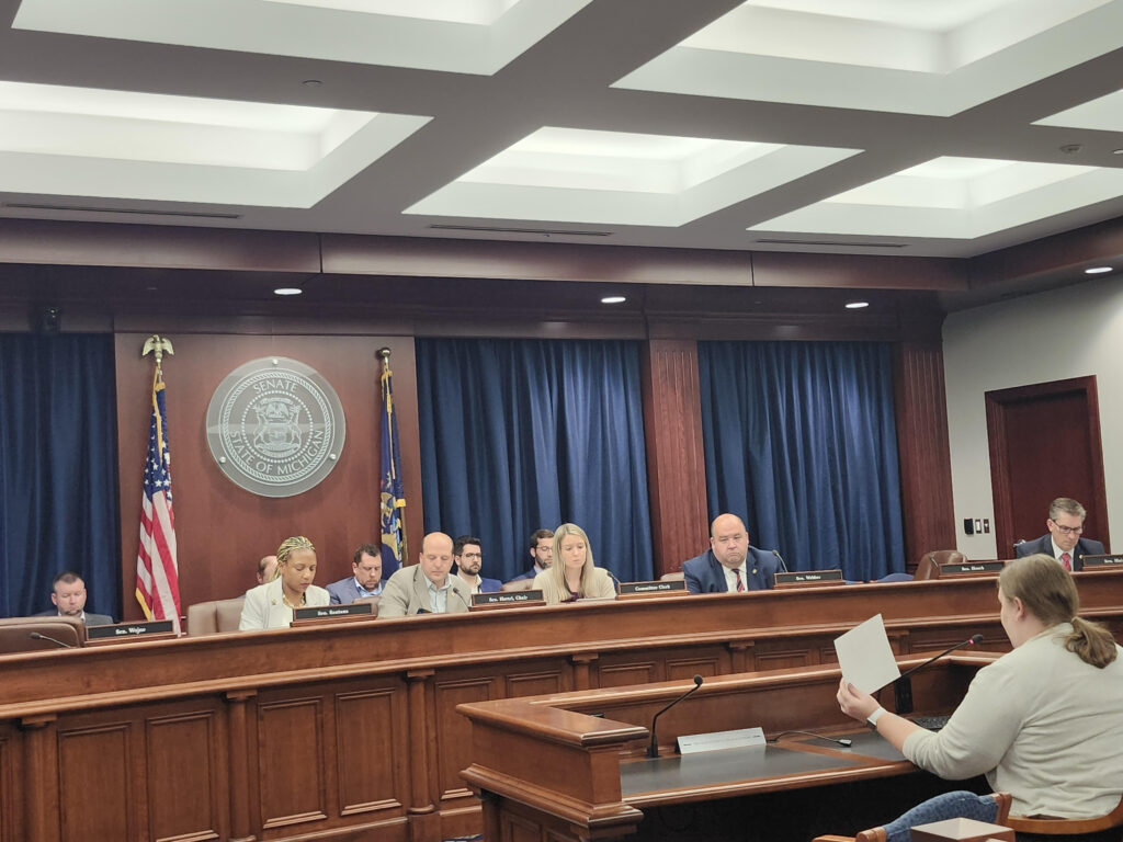 Michigan Senate panel hears input on potential devastation of federal Medicaid cuts | News From ...