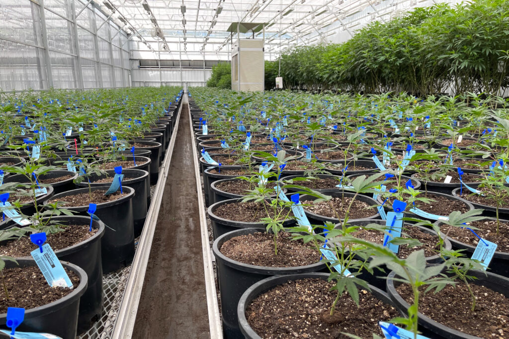 ICE raid at Nitro’s Rio Grande restaurant shows humanity at its worse ...