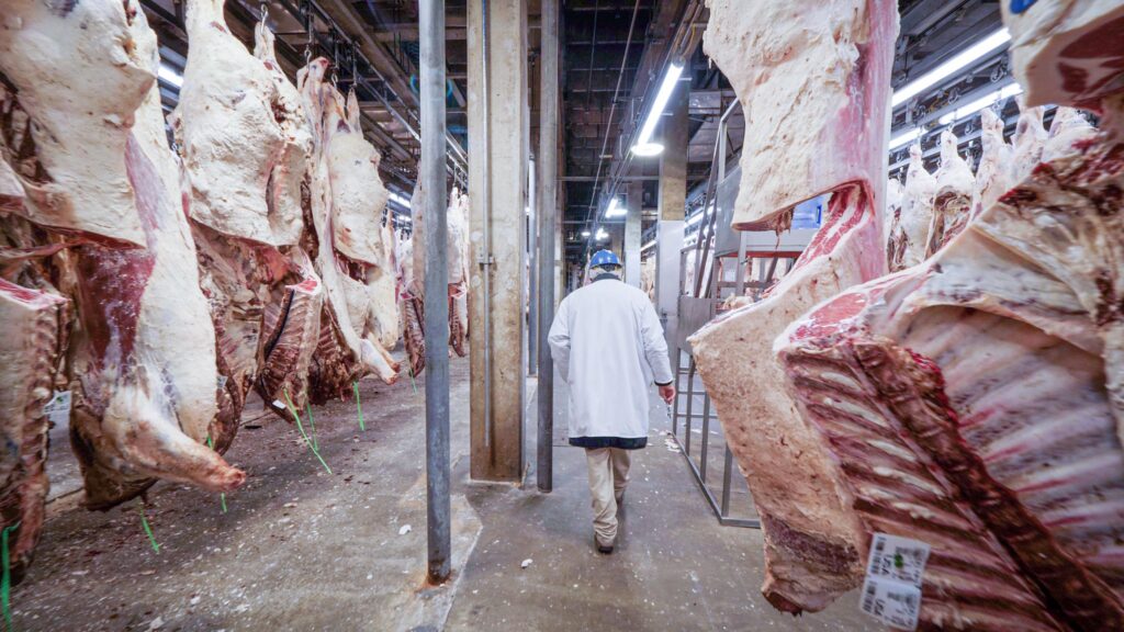 Class action lawsuit touching Montana beef industry sees $83 million ...