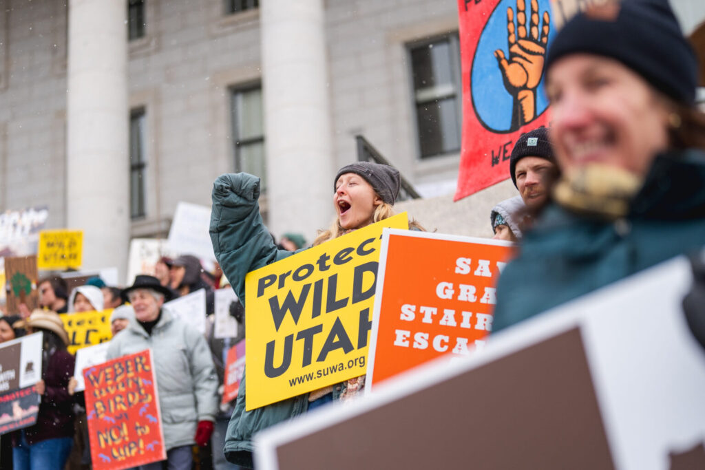 Dozens of environmental groups sign letter opposing return of public ...