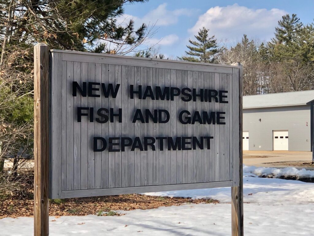 State biologists discover spiny water flea, an invasive species, in ...