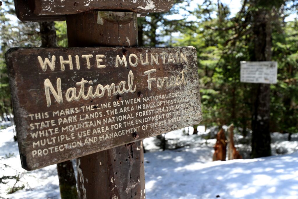 America’s ‘roadless areas’ are under attack. Here’s what New England ...