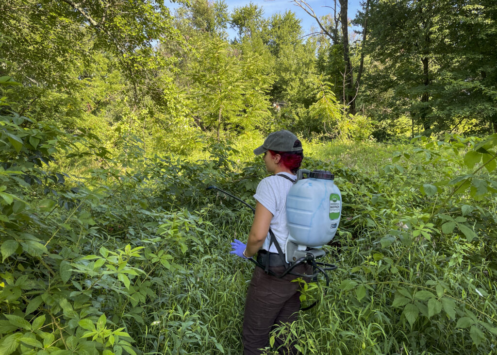 In fight against invasive plants, strike team stepped up when New ...