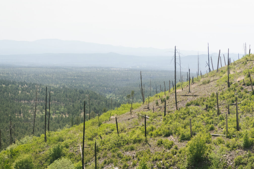 As drought threat looms, Los Alamos National Lab works to reduce its ...