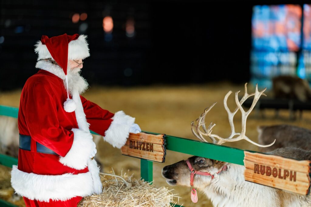 State veterinary officials clear Santa’s reindeer for flight | News ...