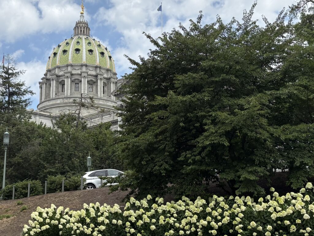 Pa. Treasurer Stacy Garrity expands loan program for services impacted ...