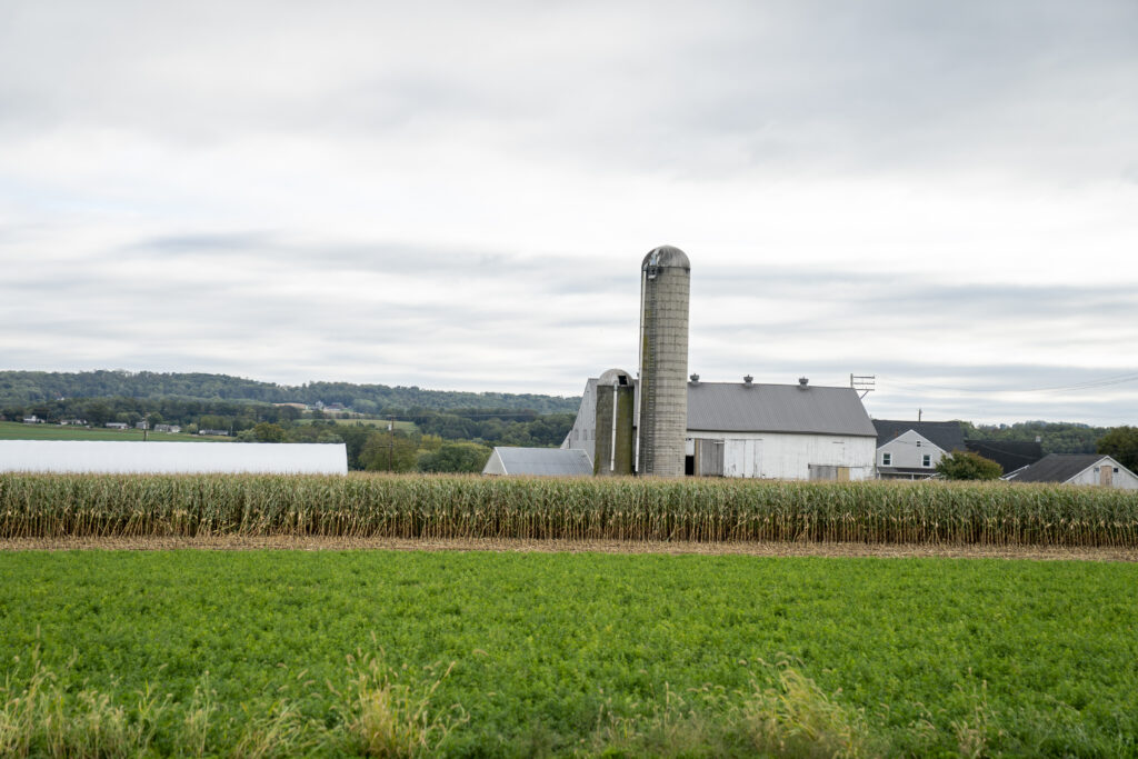 Farmers, who once fed the world, face a volatile global market with ...