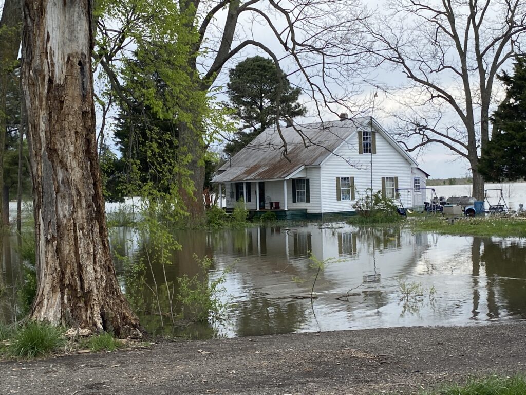 Flood fallout poses challenges for West Tennessee soybean farmers ...