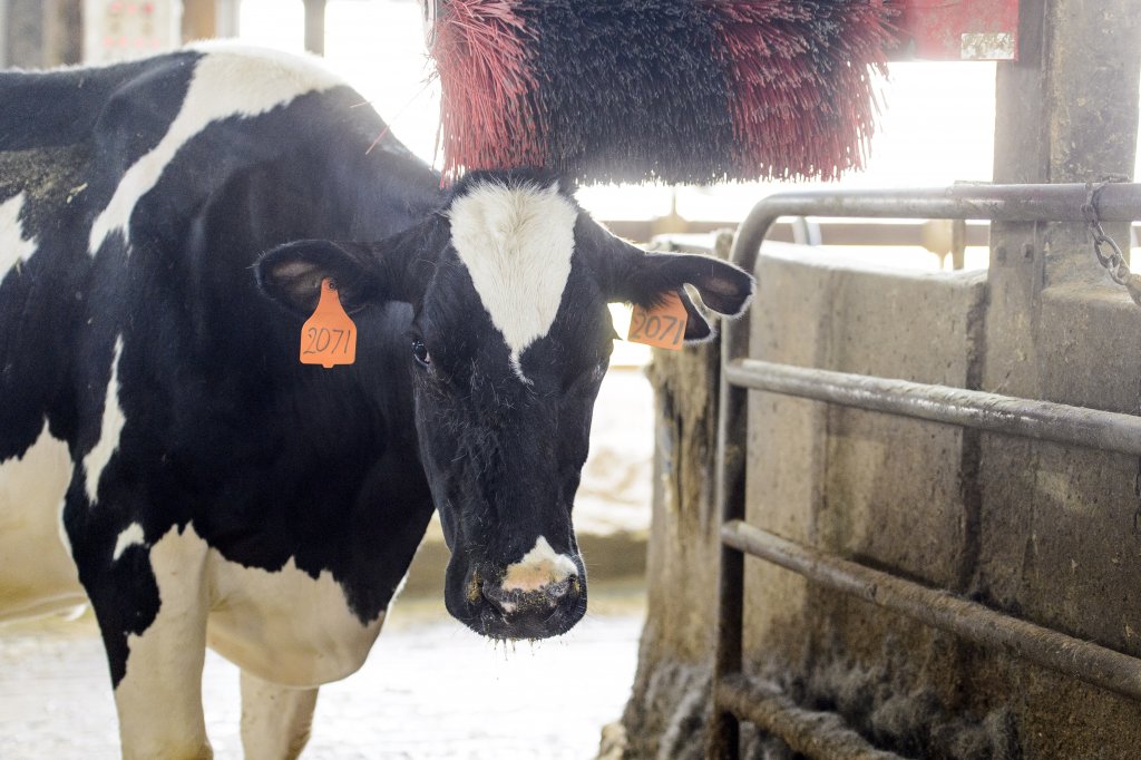 Under a gerrymandered map, a Wisconsin legislator can compare women to ...