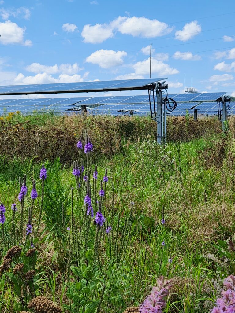 On this Earth Day, stand up for our environment by saying ‘yes’ | News ...