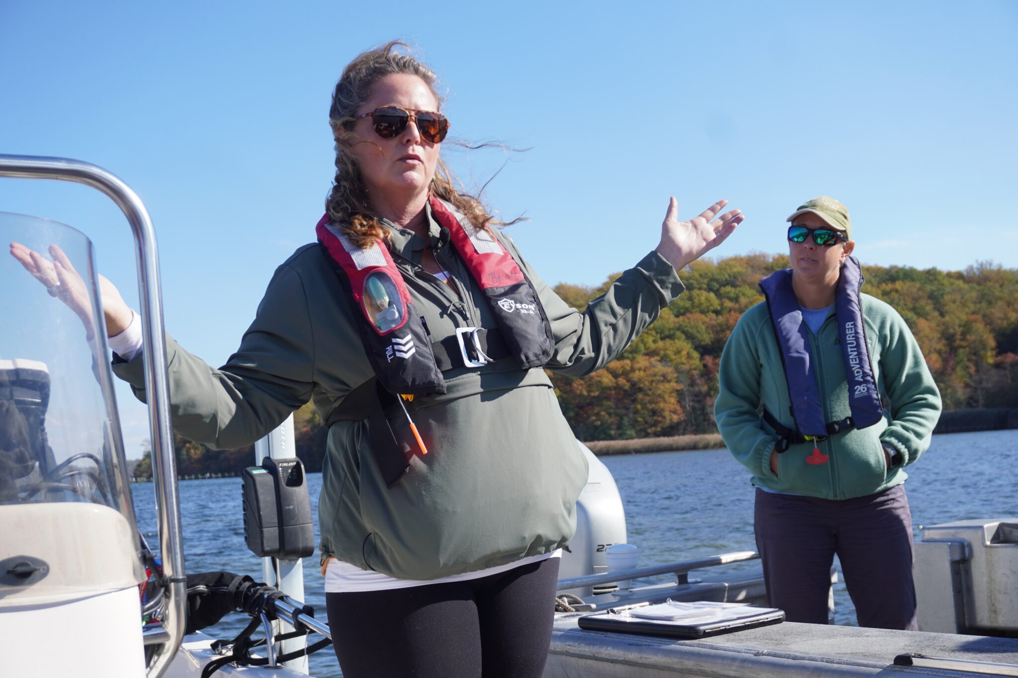 Reseeding the Chesapeake Bay’s underwater grasses takes combined state, volunteer effort | News ...
