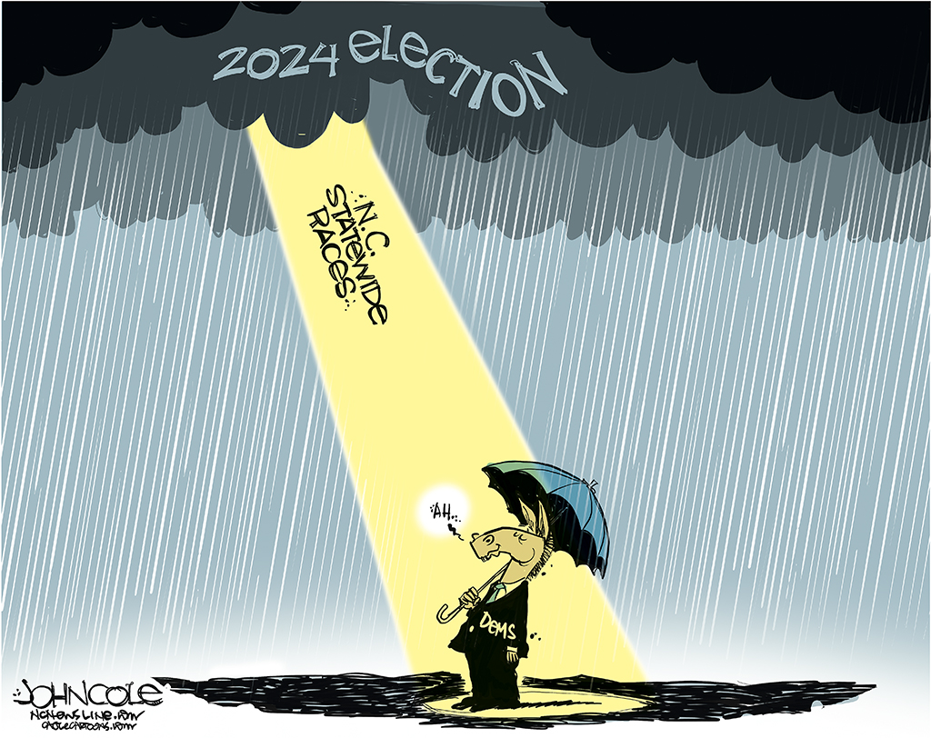 NC Newsline’s Top 10 editorial cartoons of 2024 | News From The States
