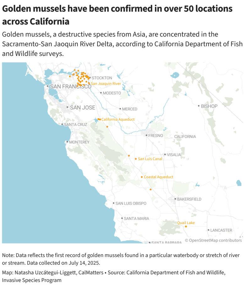 A new invader threatens California water supplies. Can the state stop ...