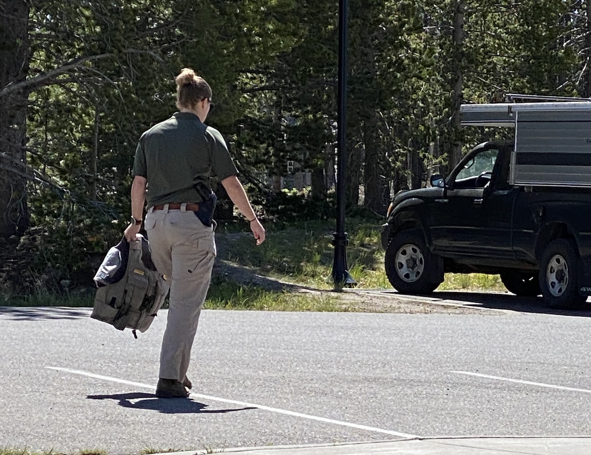 Dozens of shots sparked fear, panic, Yellowstone workers recount | News ...