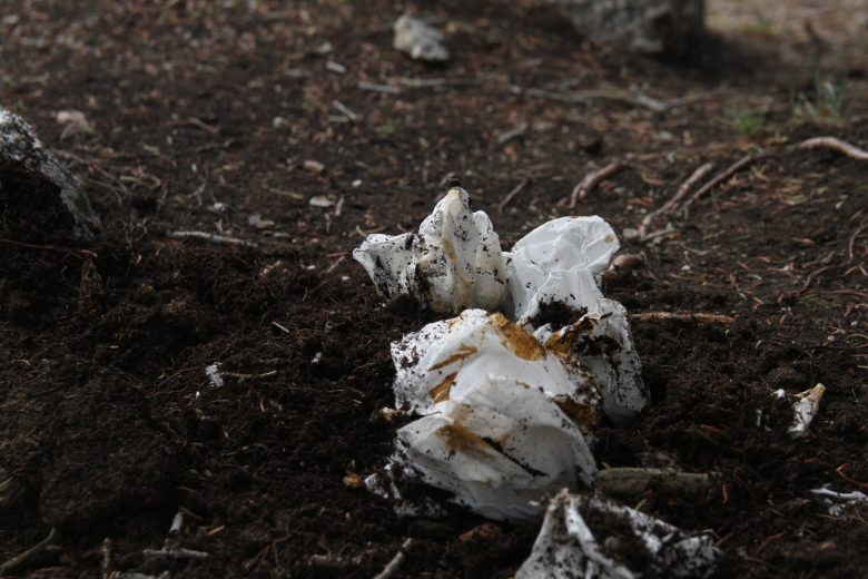 After EPA finds chart-topping fecal bacteria in Lonesome Lake, state ...