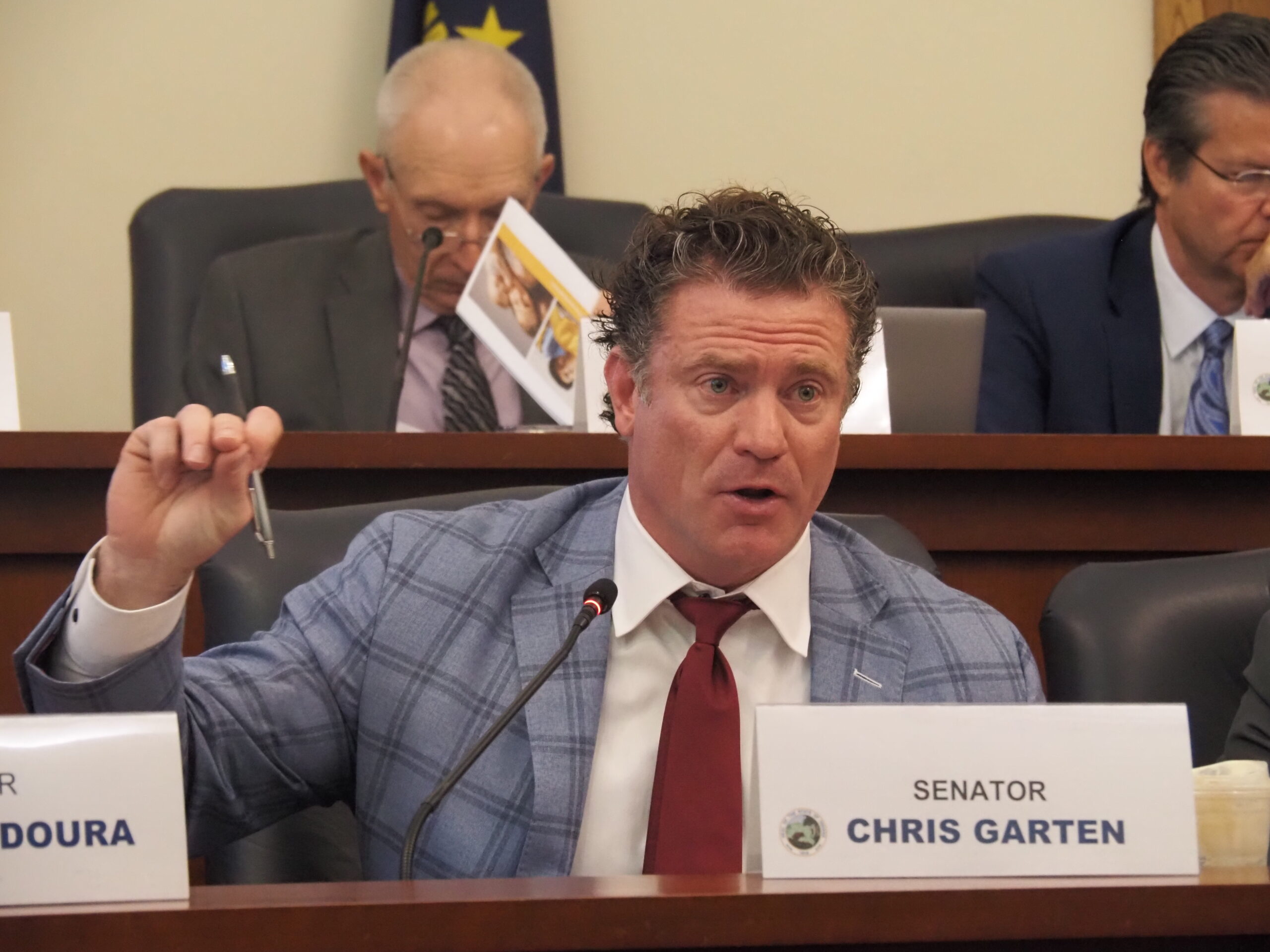 Senate Republican agenda focuses on public assistance, bail | News From ...