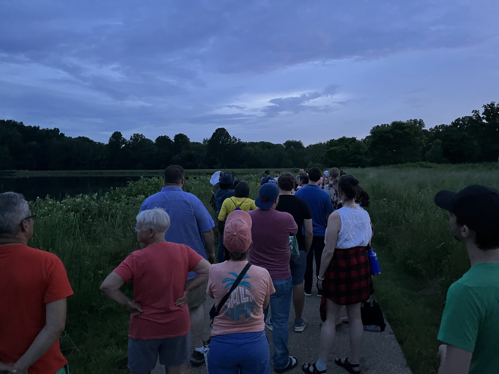 ‘Canary in the coal mine’: Are fireflies really disappearing? | News ...