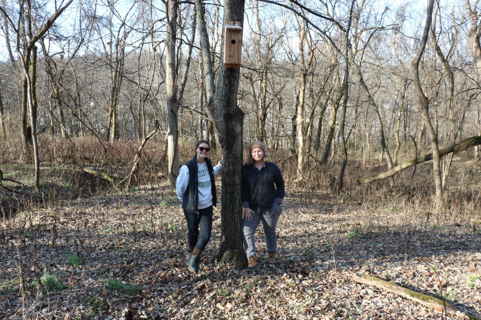 Making a Kentucky campus a better home for woodpeckers, one box at a ...