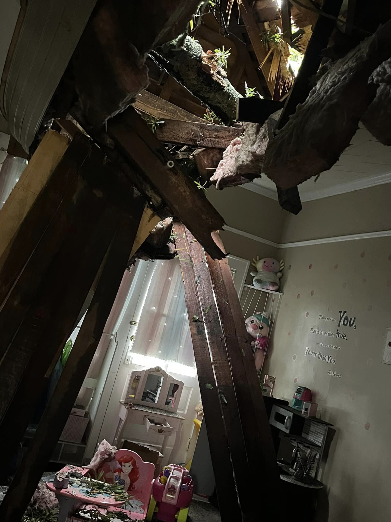 They lived through deadly Helene. Now families across western SC seek ...