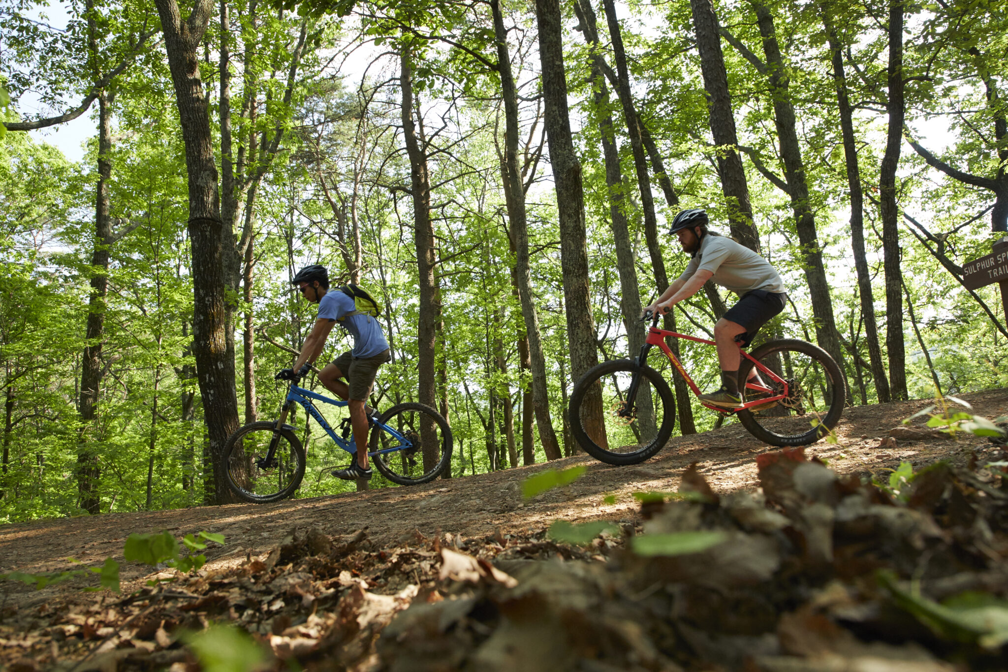 SC could expand popular Upstate park and create new preserve nearer NC ...