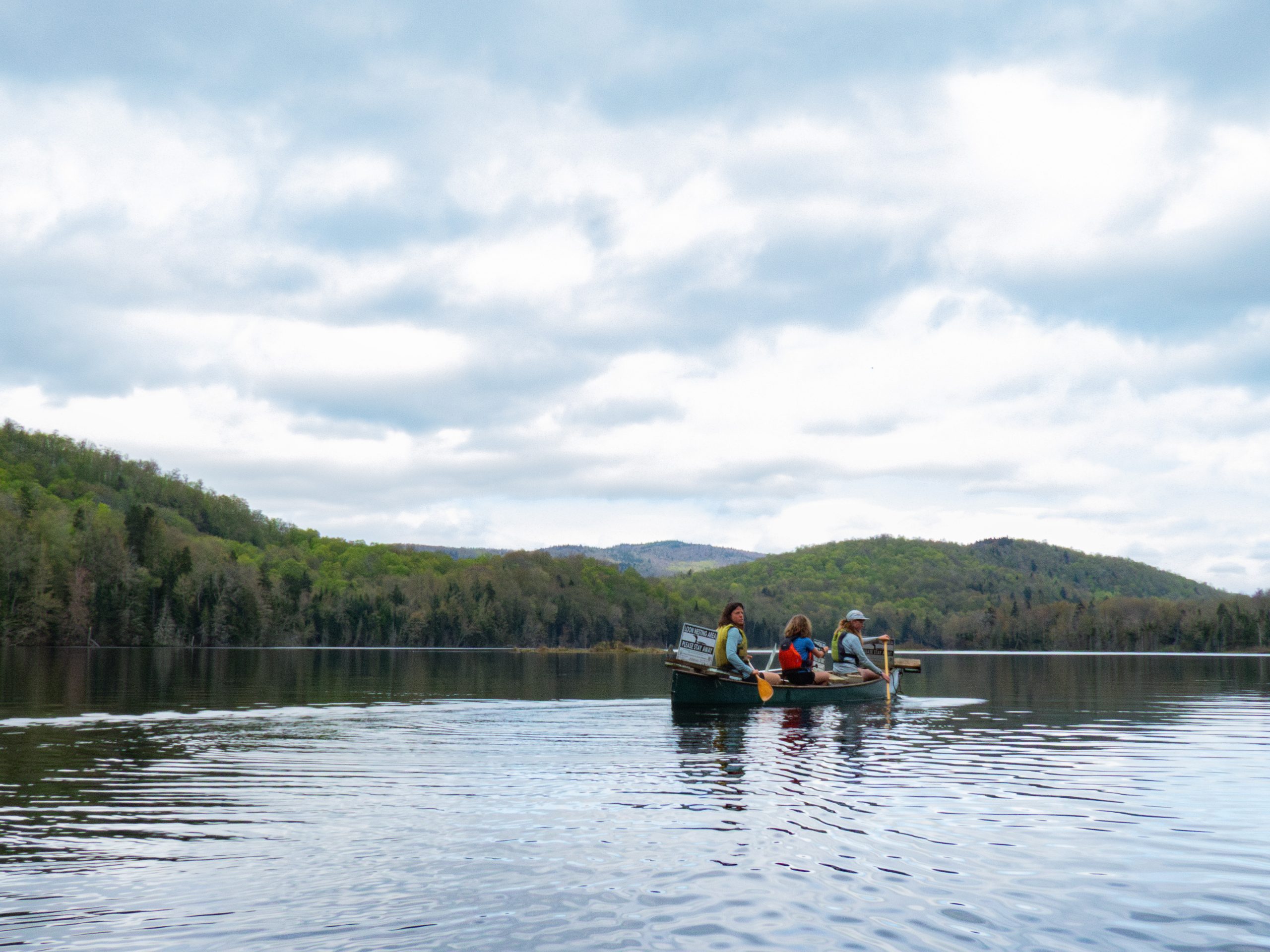 Vermont’s adult loon population is at an all-time high, but fewer ...