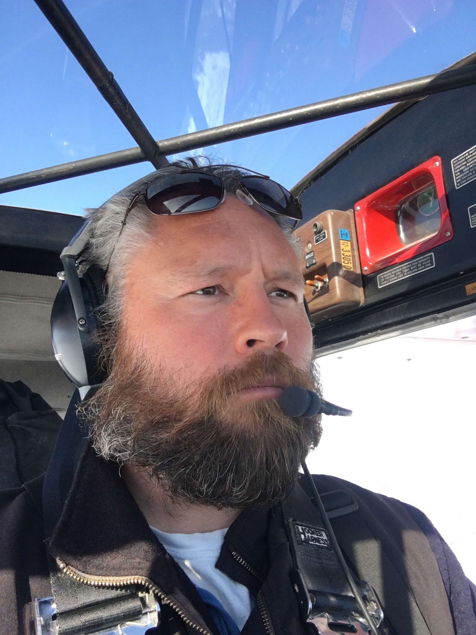 Less-reliable fall snow makes Alaska moose population surveys more ...