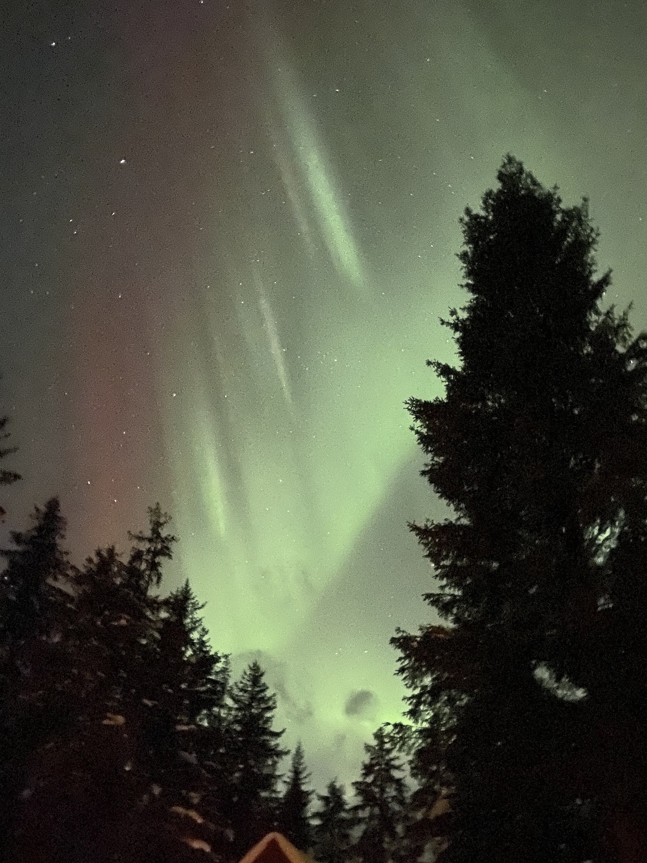 Savoring the darkness in Alaska | News From The States