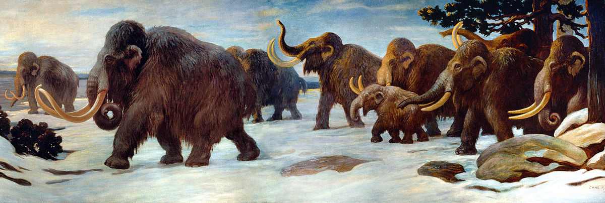 Why are we so obsessed with bringing back the woolly mammoth? | News ...