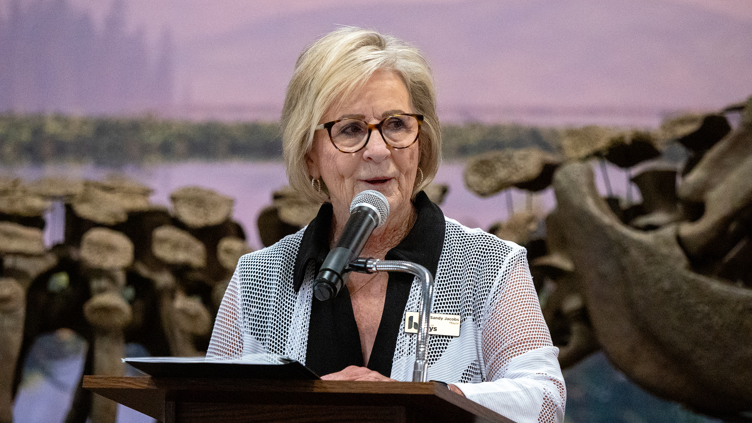 Kansas lawmakers outline vision for finding solutions to water crisis ...