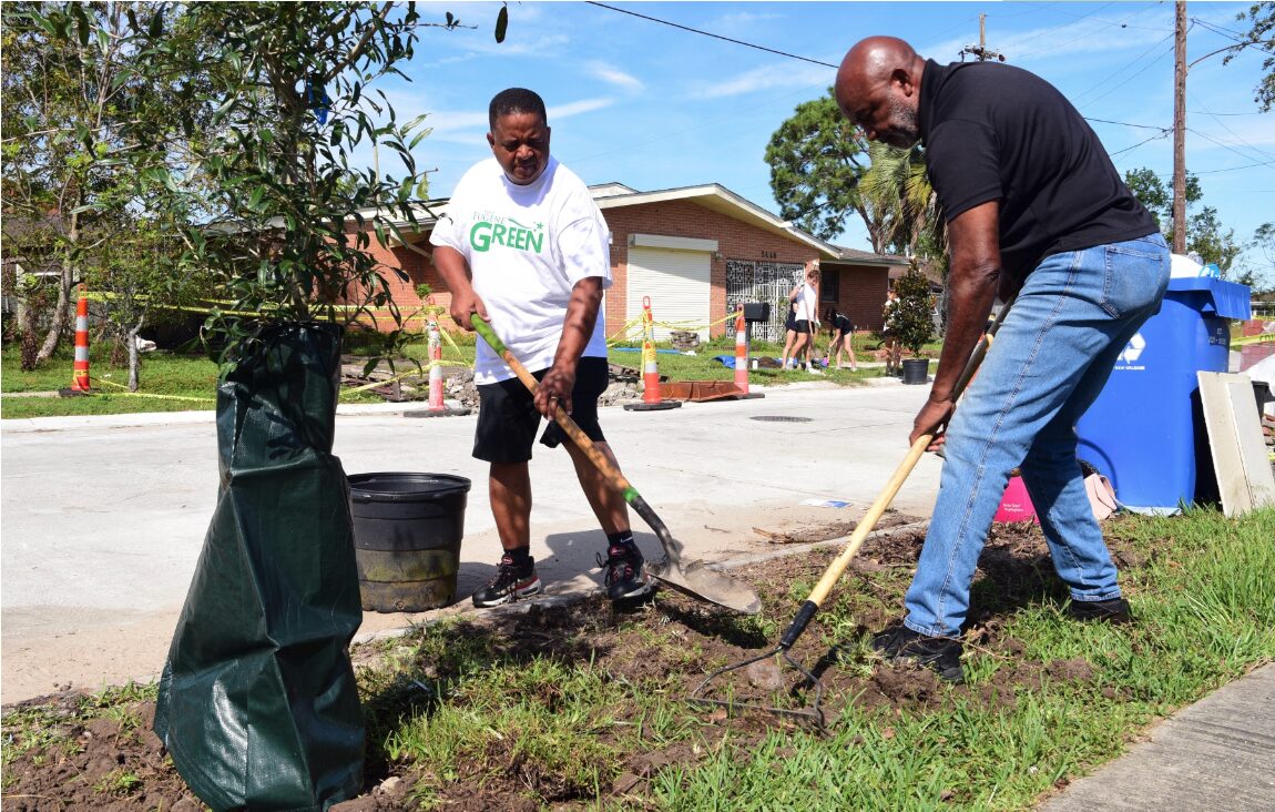 New Orleans’ big push to restore trees lost to Katrina derailed by ...