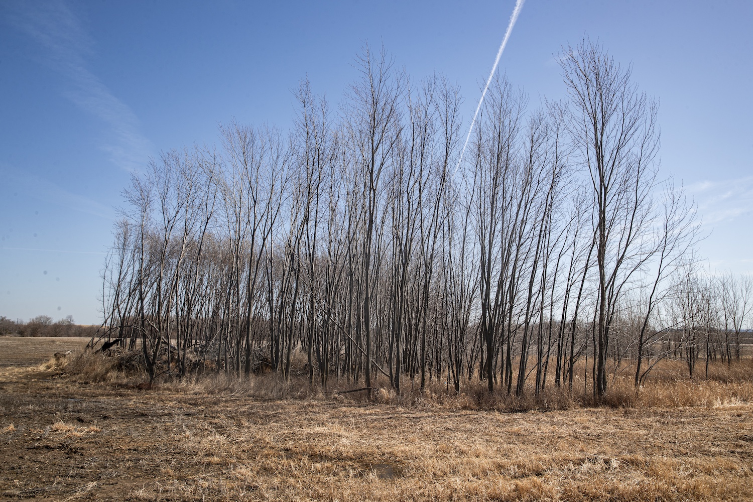One landowner fights to farm a designated wetland. Others could face ...