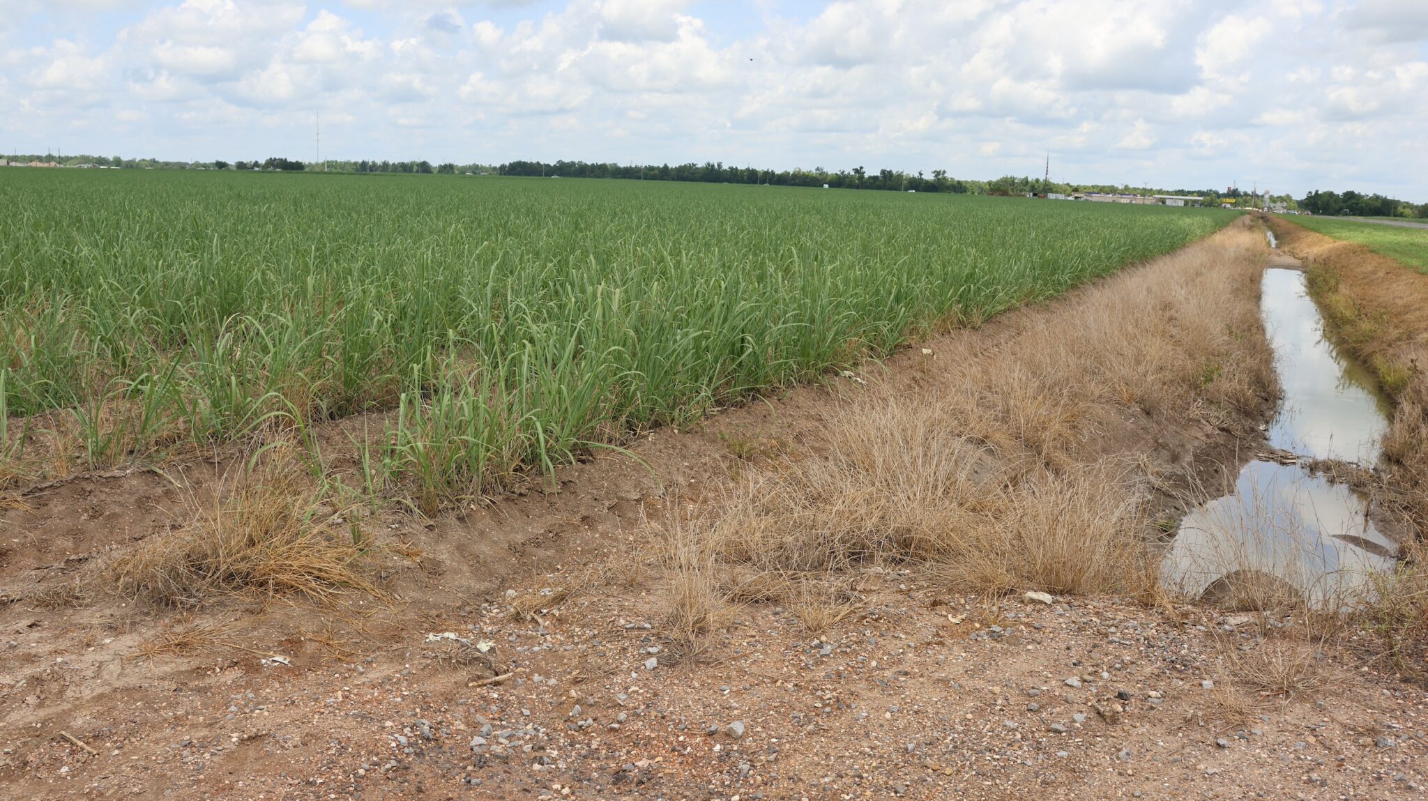 Public reported problems at Atalco refinery long before inspectors ...