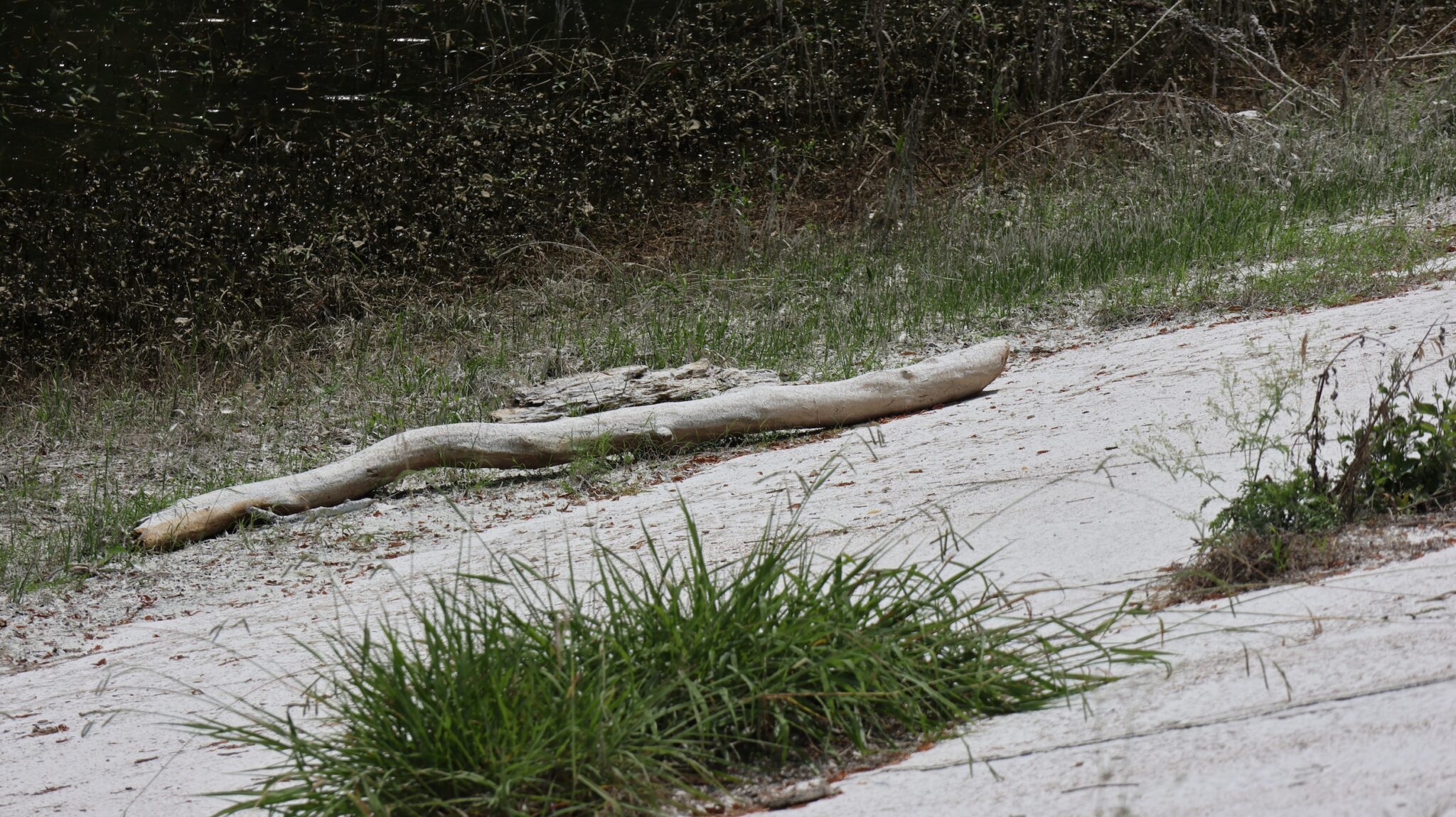 Public reported problems at Atalco refinery long before inspectors ...