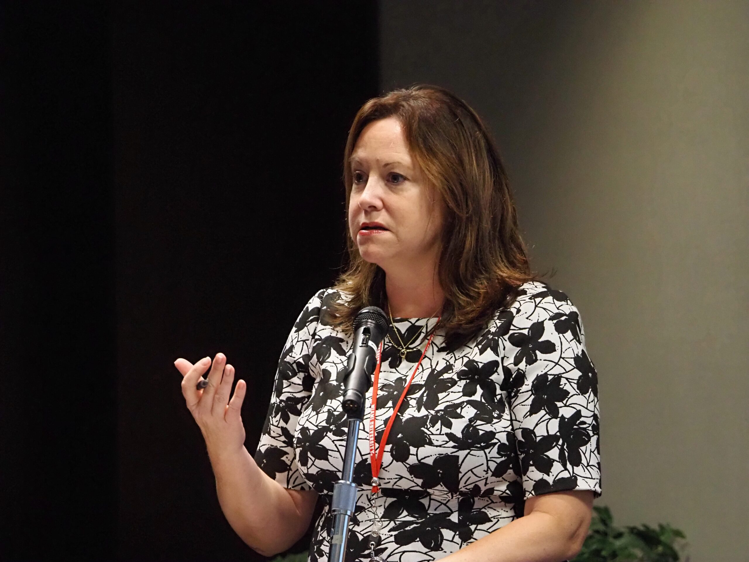 Child welfare and court officials in Michigan hold celebration for ...
