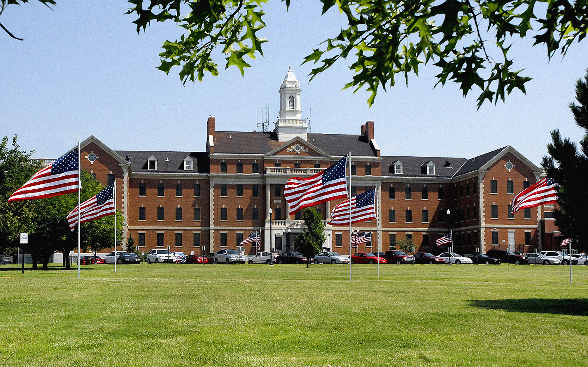 Steak dinners, sales reps and risky procedures: inside the big business ...