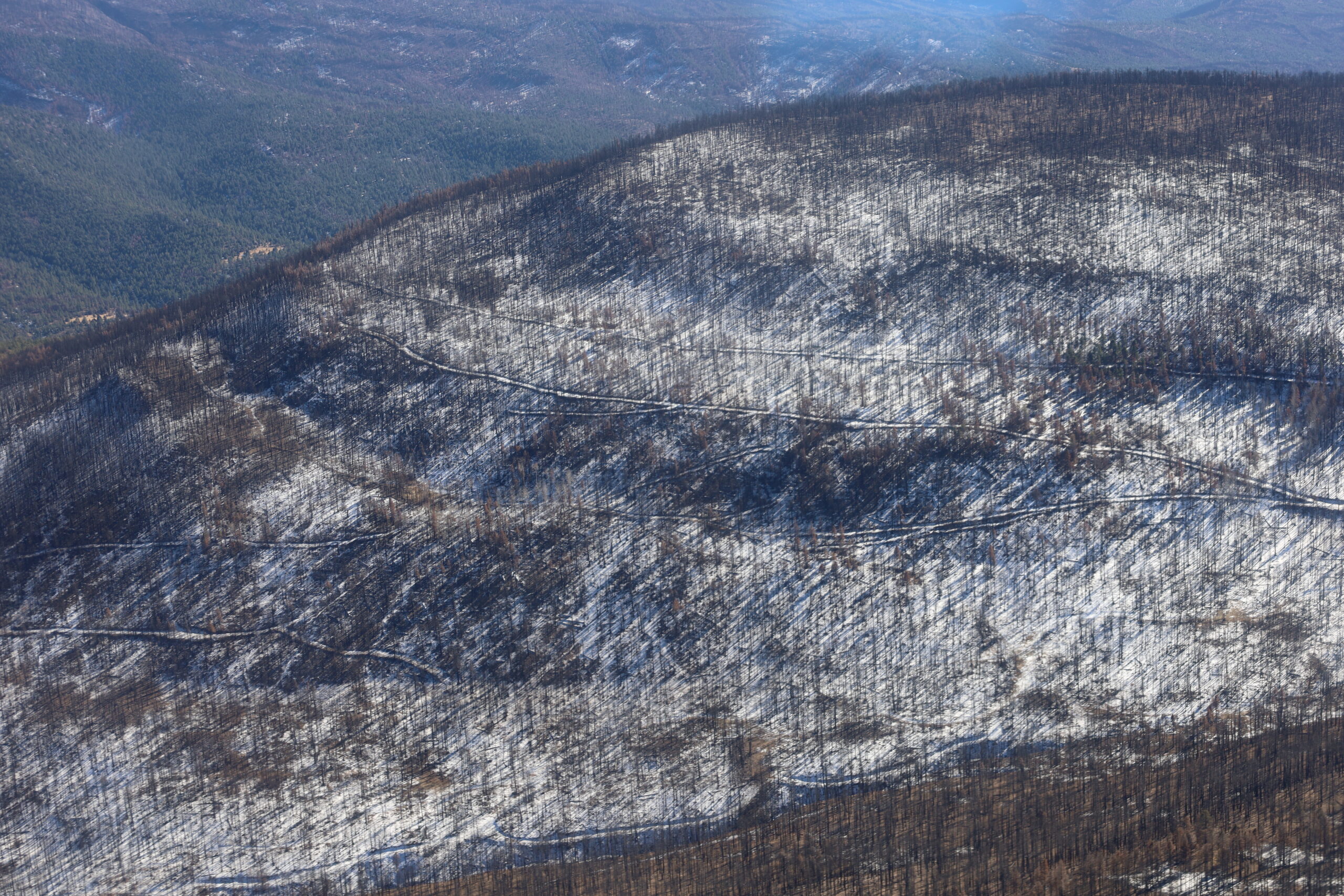 ‘It’ll never be the same.’ Northern NM residents fly over burn scar to ...
