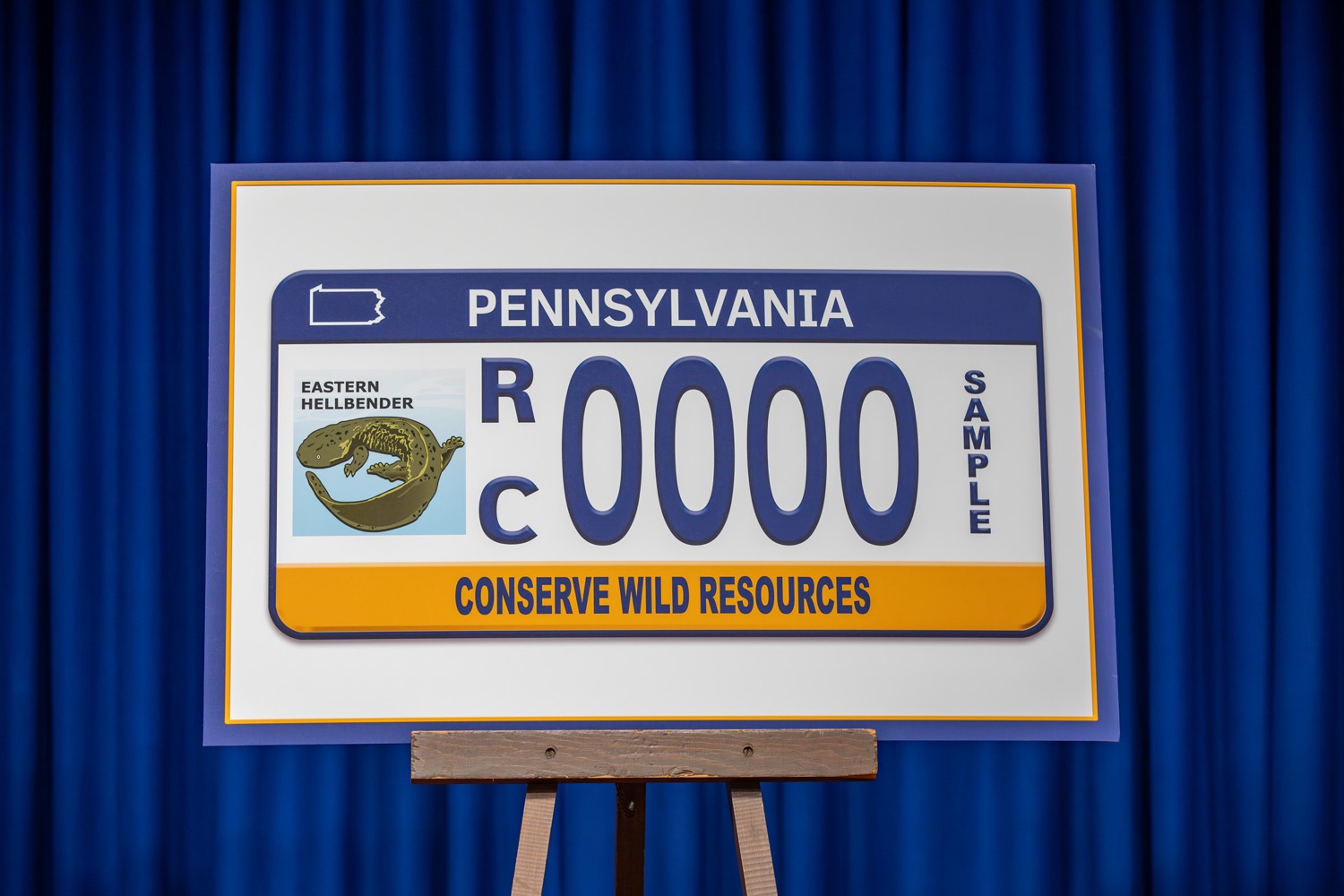 State officials celebrate launch of new ‘hellbender’ license plate ...