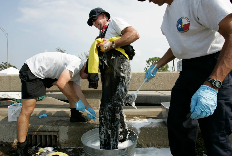 A deadly bacteria is creeping up the Atlantic Coast. How worried should ...