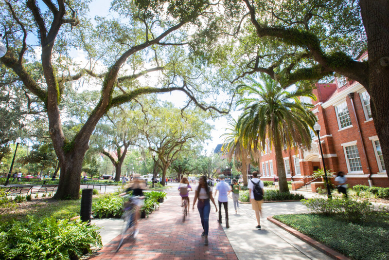 DeSantis developing new university accreditor to ‘upend’ ‘woke ...