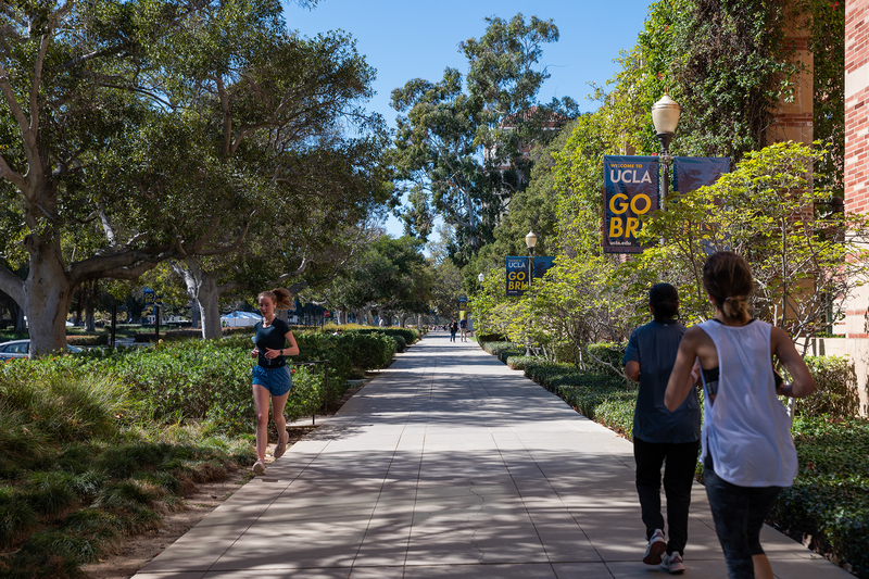 UCLA research grants suspended after Trump administration faulted ...
