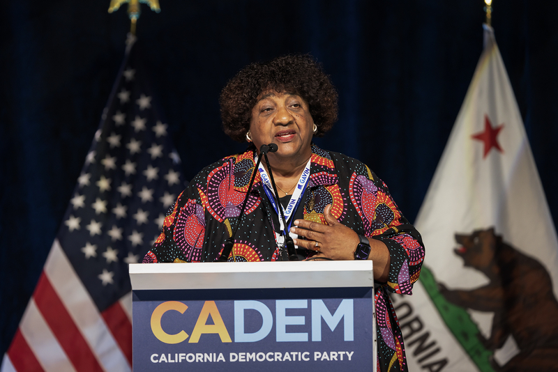 California’s race for secretary of state shows partisan divide over how ...