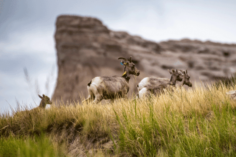 Get clicking: Nebraskaland Magazine photo contest open now | News From ...