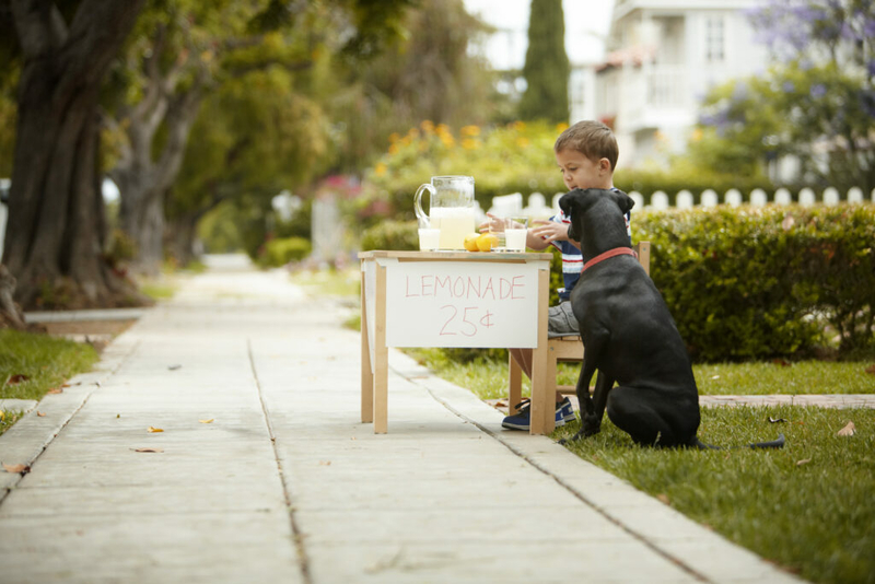 Bill protecting lemonade stands run by children advances | News From ...