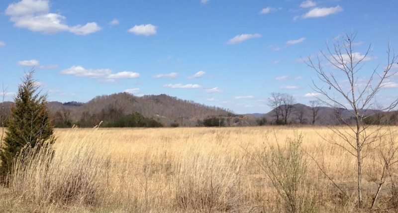 Indigenous group buys 63 acres in proposed prison site, offers ...