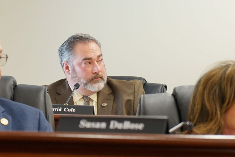 Madison County judge accepts former state Rep. David Cole’s plea ...