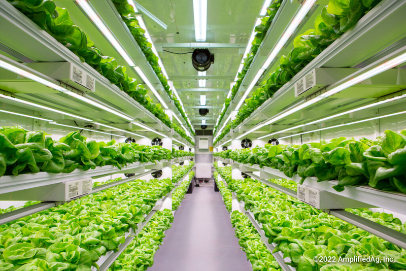 SC prison’s vertical farming program gets grant to help pay inmates ...
