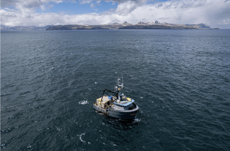 Commission again sets Pacific halibut harvest at rock-bottom levels ...