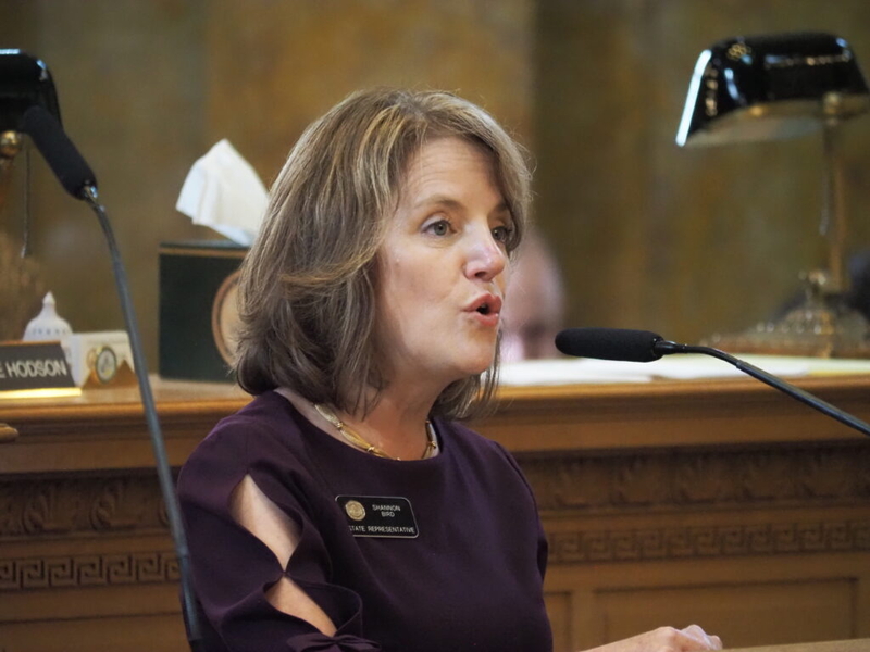Shannon Bird to resign from Colorado Legislature to focus on ...